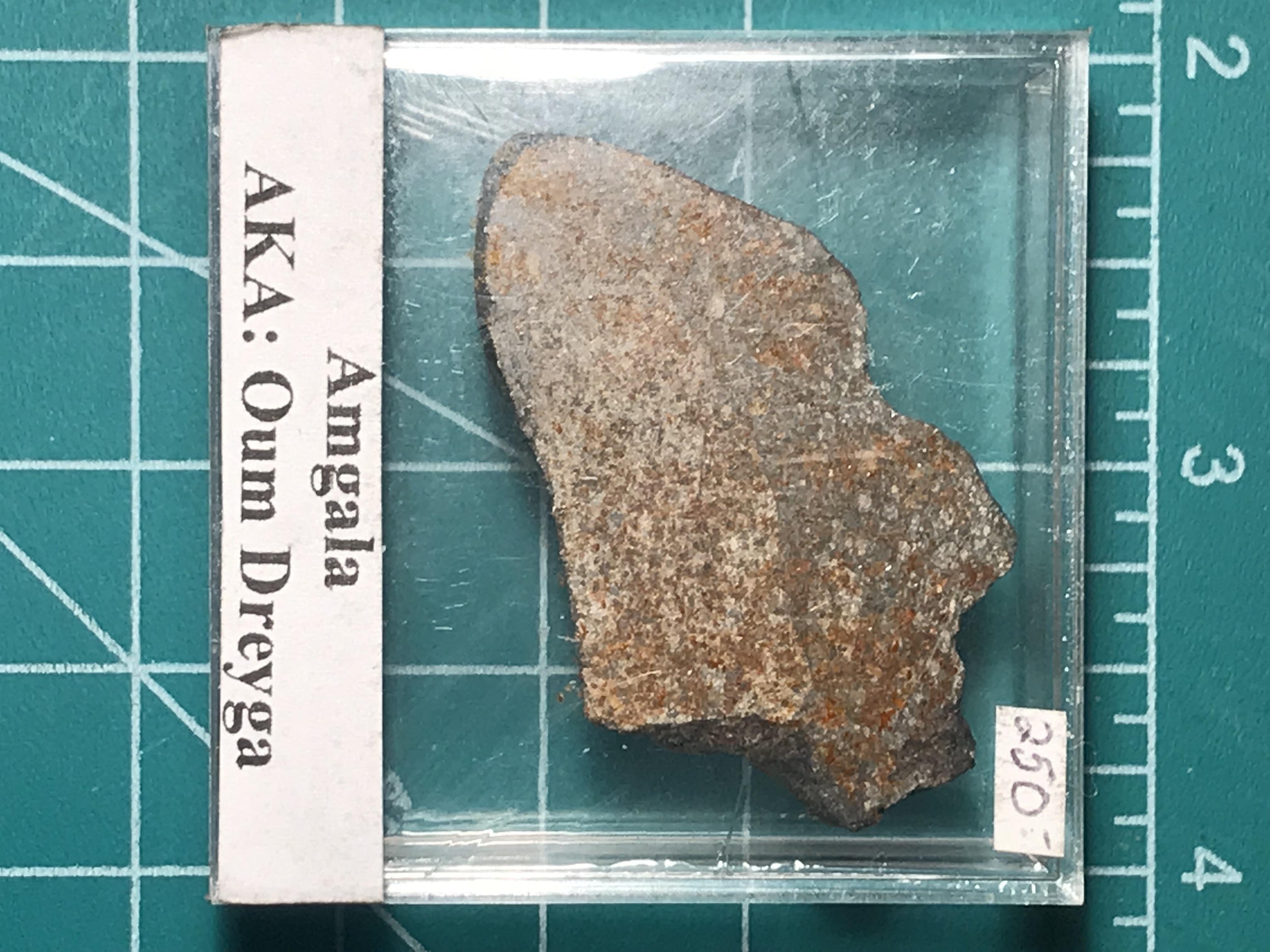 Meteorite - MARE Meteoritics